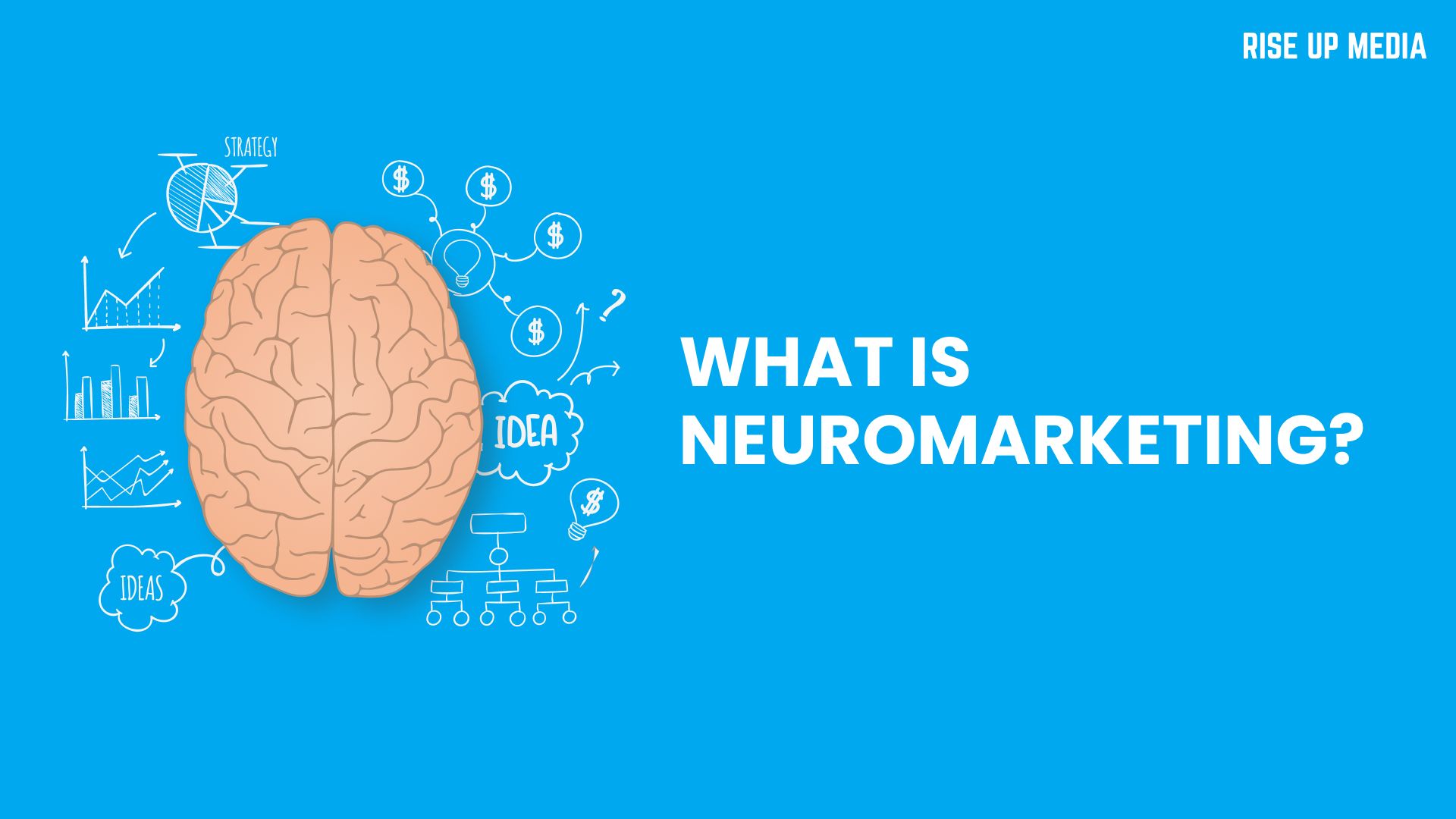What Is Neuromarketing? The Ultimate Beginner's Guide - Rise Up Media